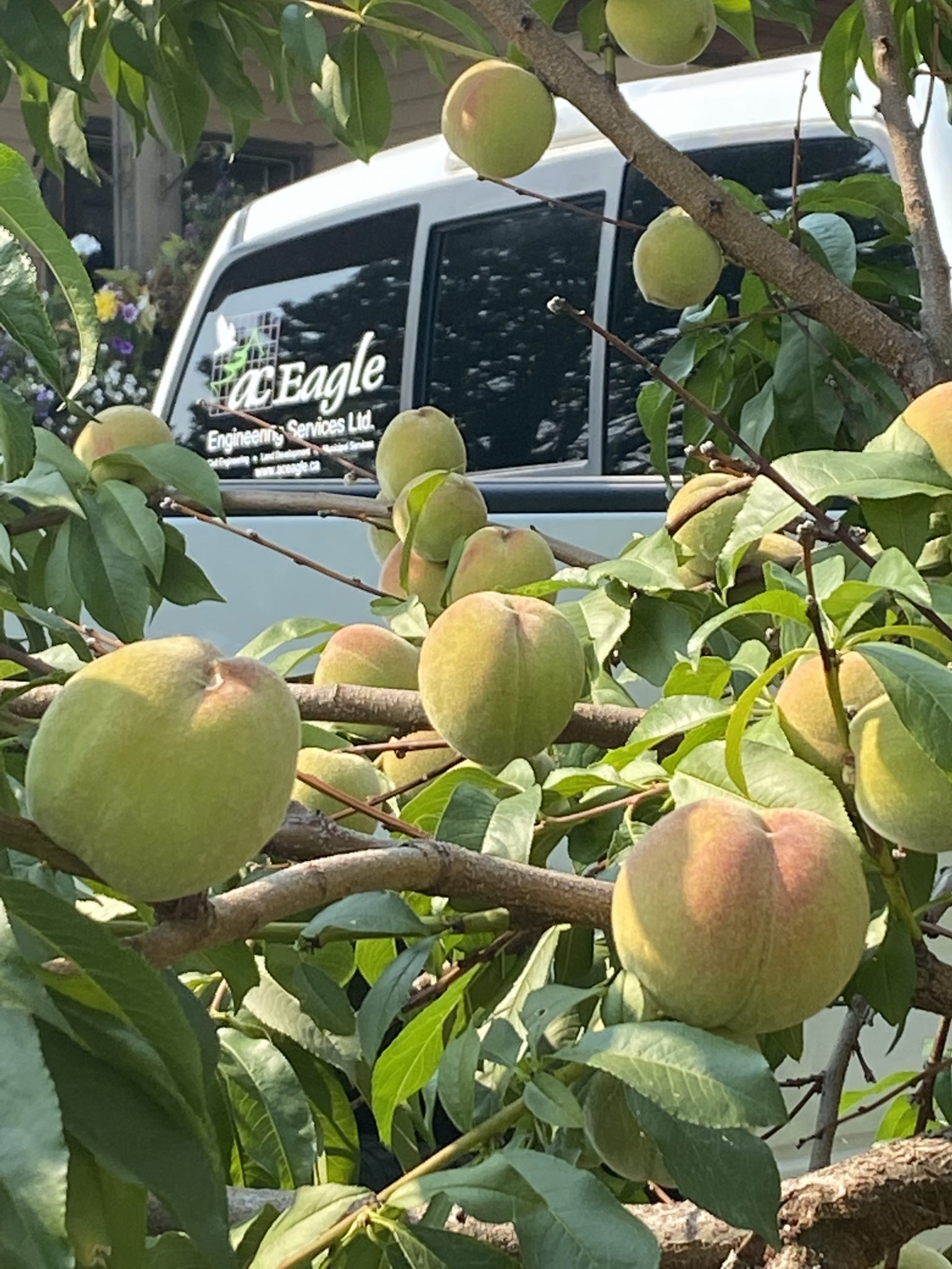 Contact Us - AC Eagle